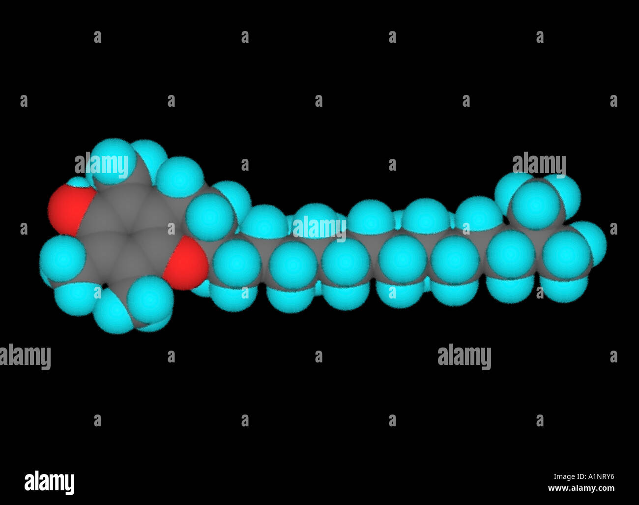 3D computer model of the vitamin E molecule Stock Photo - Alamy