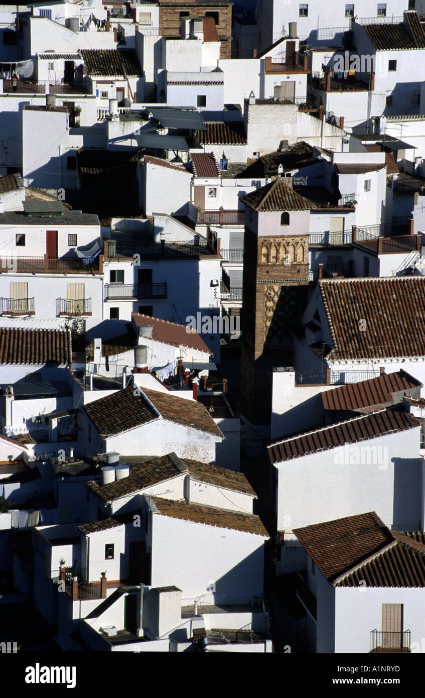 Axarquia archez hi-res stock photography and images - Alamy