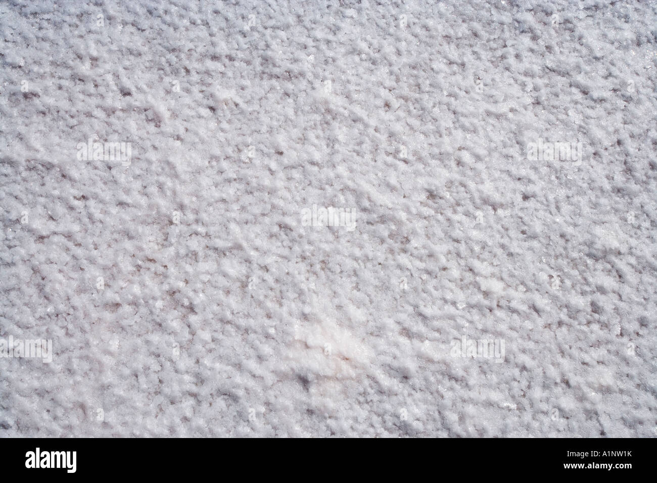 Australia playas hi-res stock photography and images - Alamy