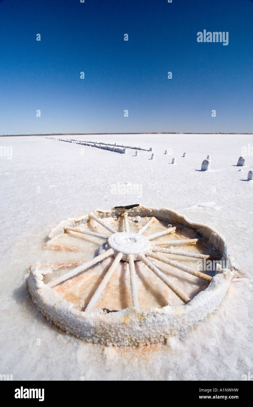 Salt Encrusted Wagon Wheel Lake Hart Stuart Highway near Woomera ...