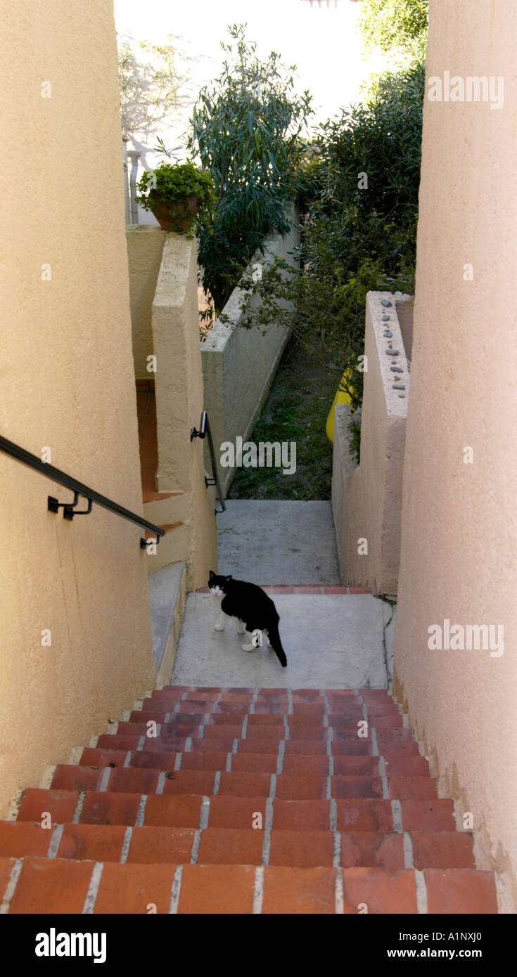 French steps hi-res stock photography and images - Alamy