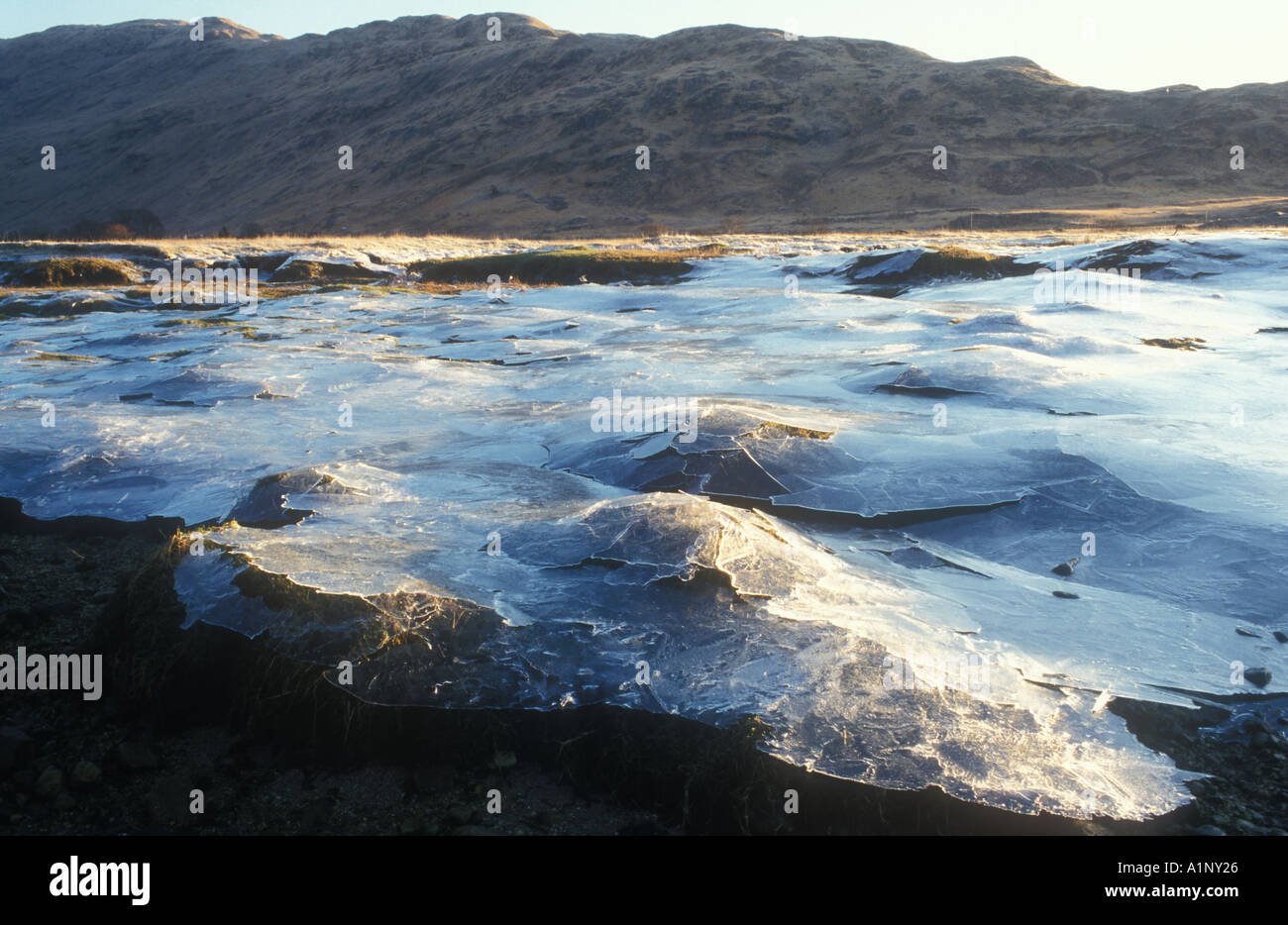 Thin film of broken ice left behind by retreating tide Stock Photo - Alamy