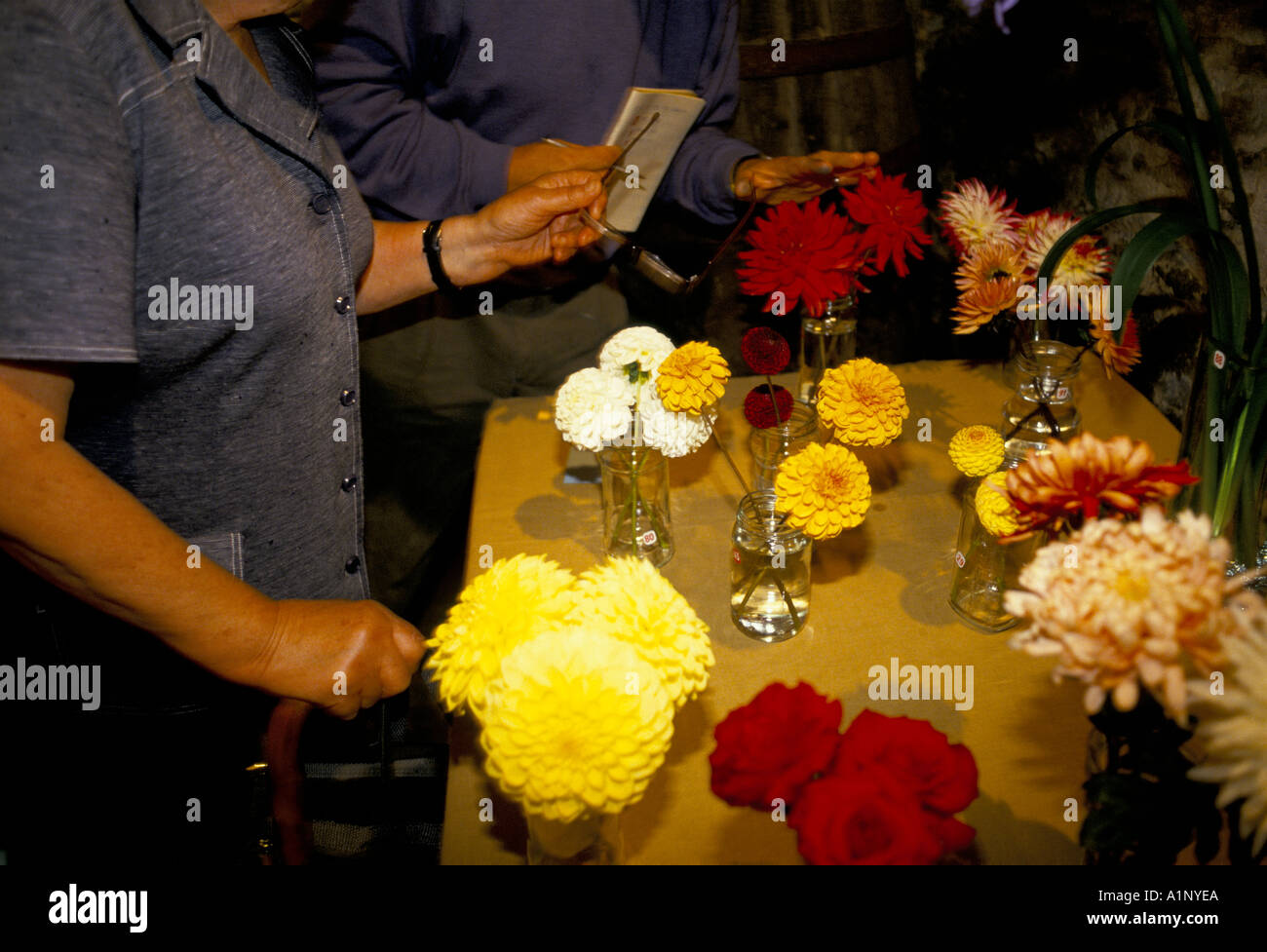 Judging a flower competition annual summer village fete. Eastleach ...