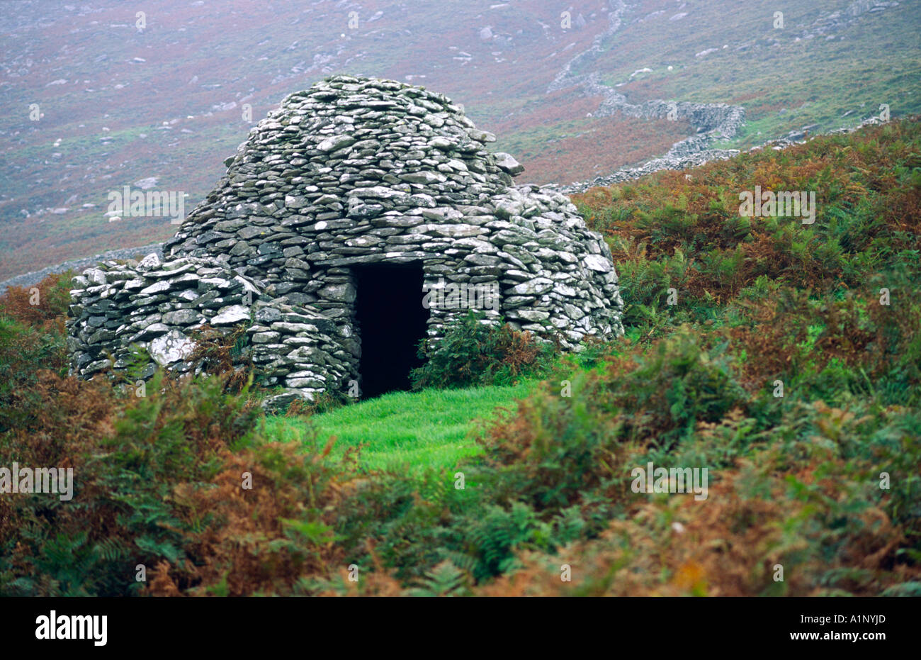 Prehistoric Celtic dry stone wall corbelled beehive hut. Part of the ...