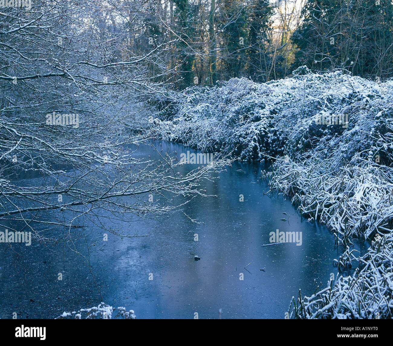 Kent pond hi-res stock photography and images - Alamy