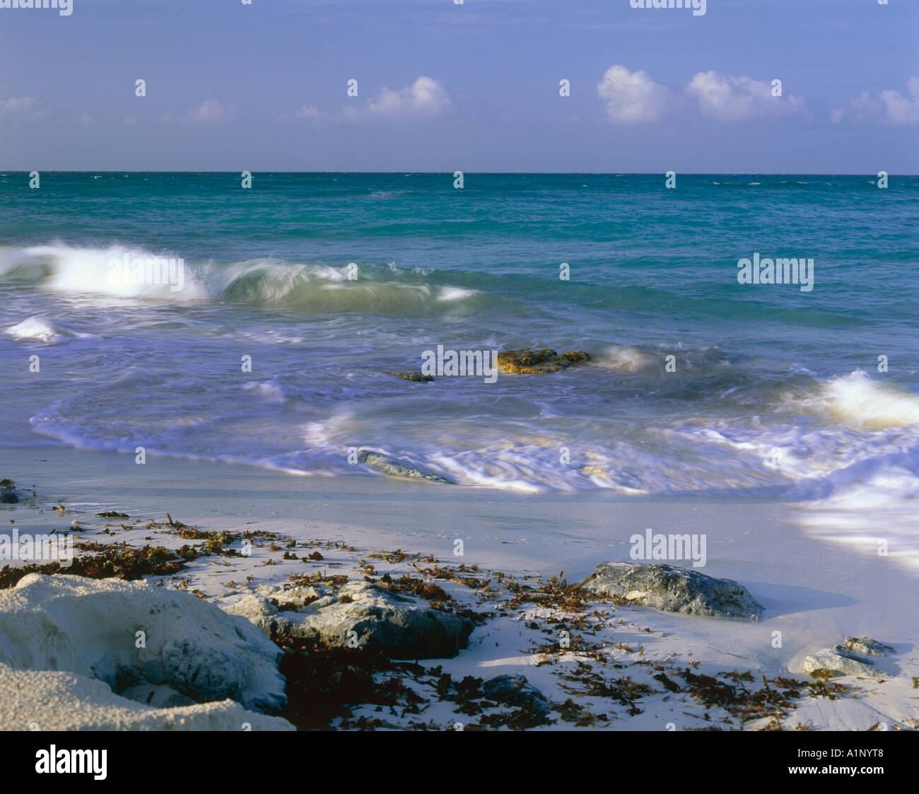 Cuba adventure hi-res stock photography and images - Alamy