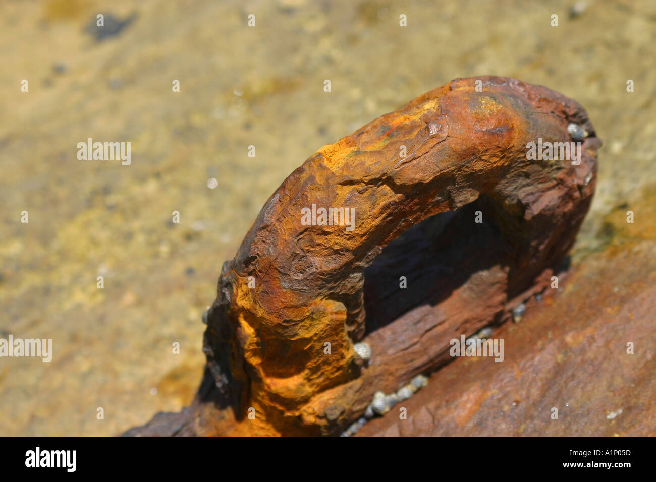 Hof Tel Barukh Stock Photo - Alamy