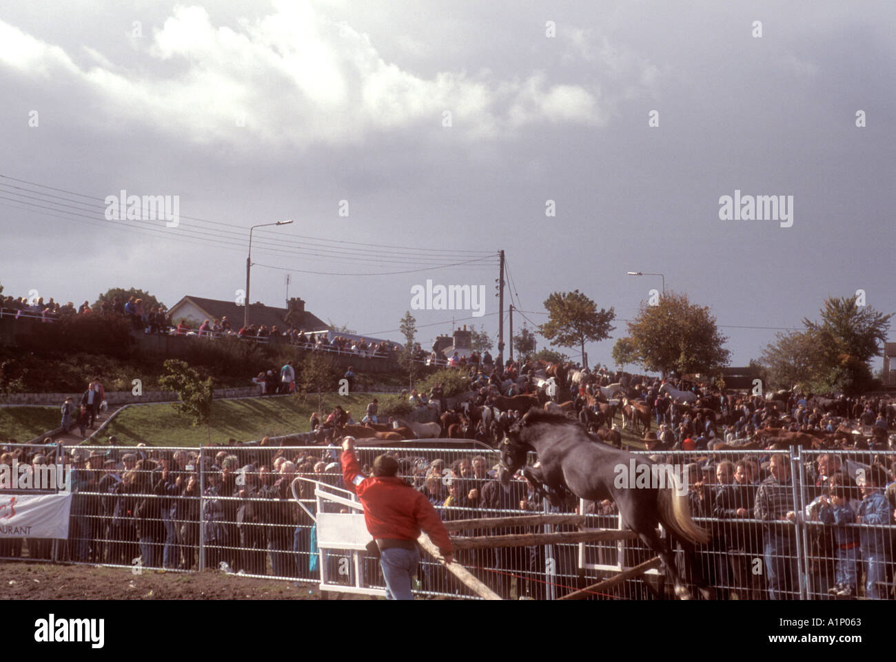 Ballinasloe horse fair hi-res stock photography and images - Alamy
