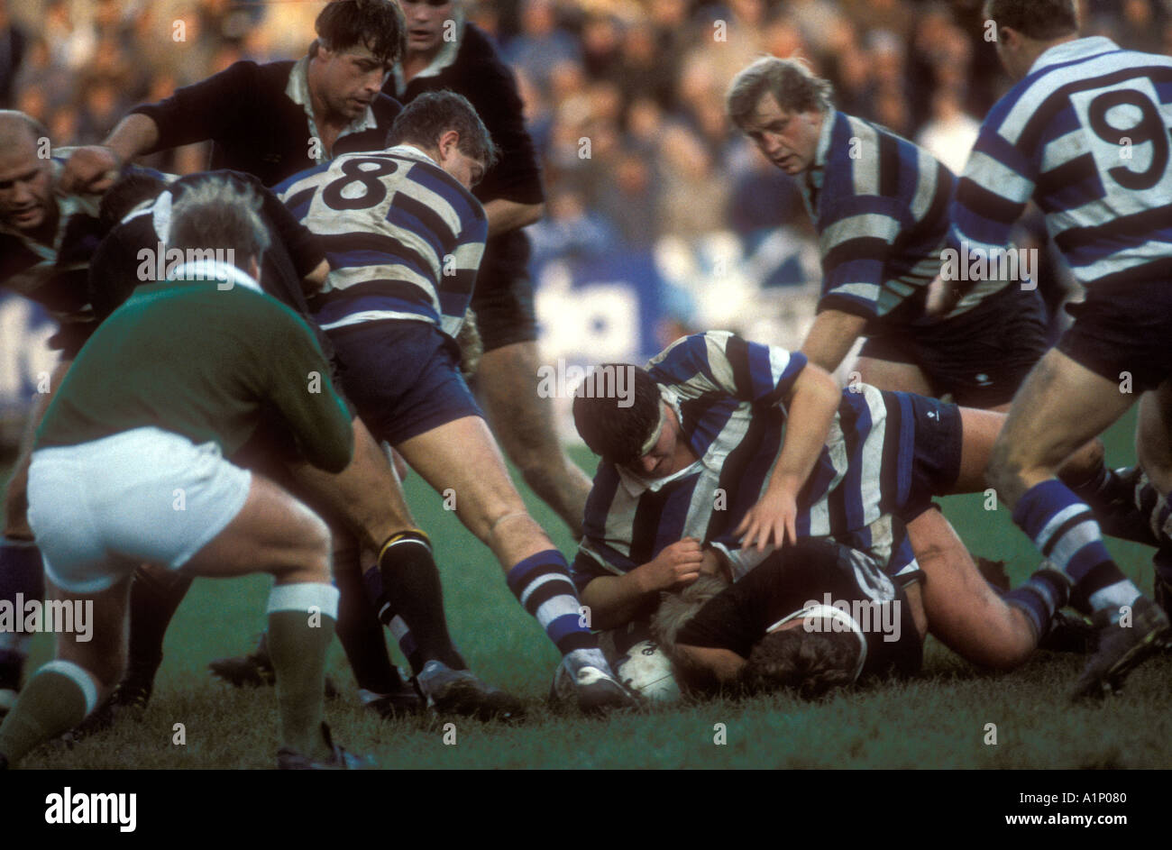 Bath rugby ground sports ground hi-res stock photography and images - Alamy