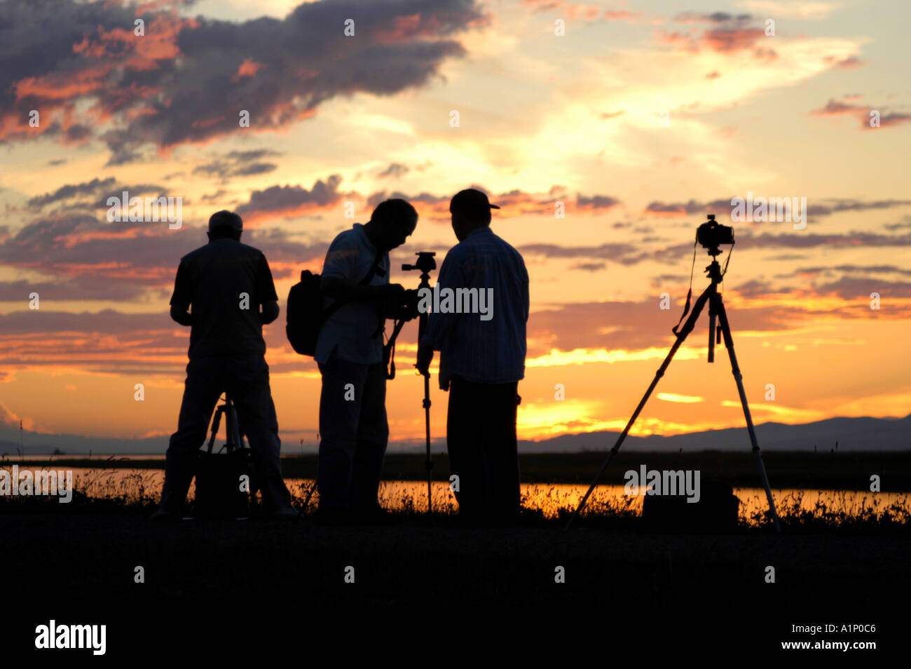 Composition professional photographers equipment hi-res stock ...