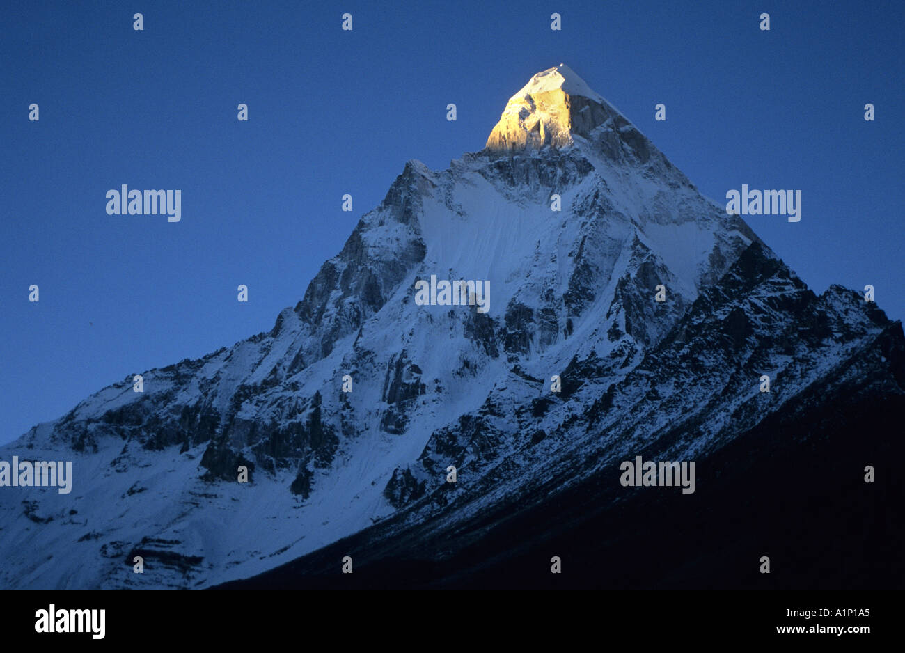 First light on Mount Shivling Garhwal Himalaya India Stock Photo - Alamy