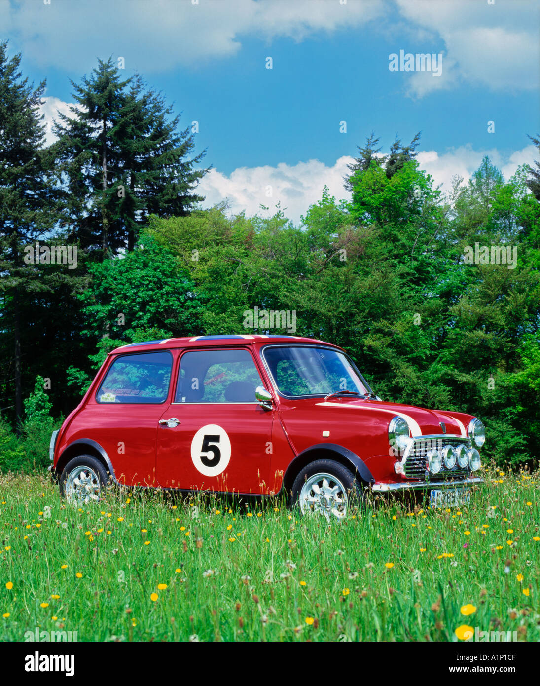 Isigonis hi-res stock photography and images - Alamy