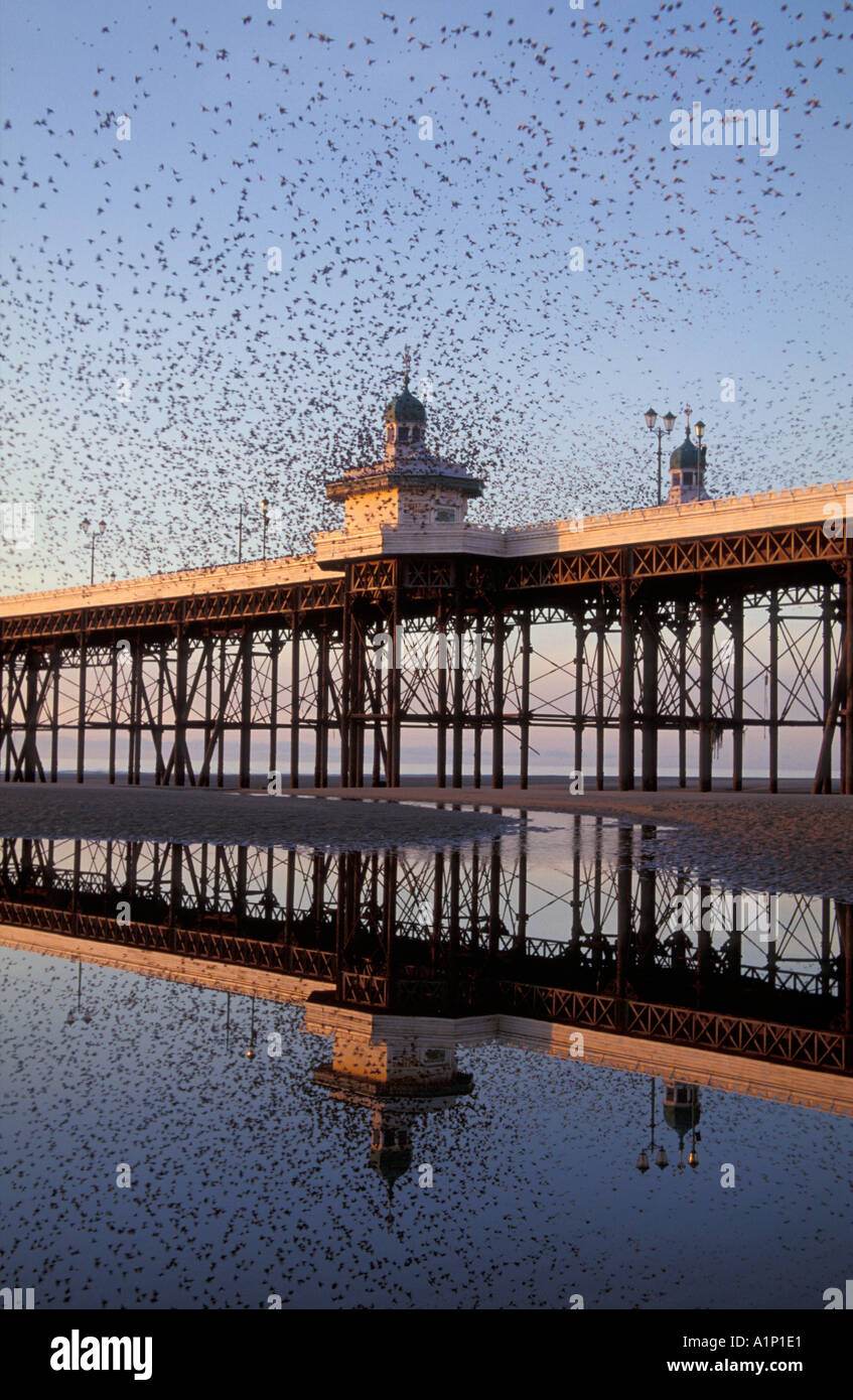 Blackpool pier victorian hi-res stock photography and images - Alamy