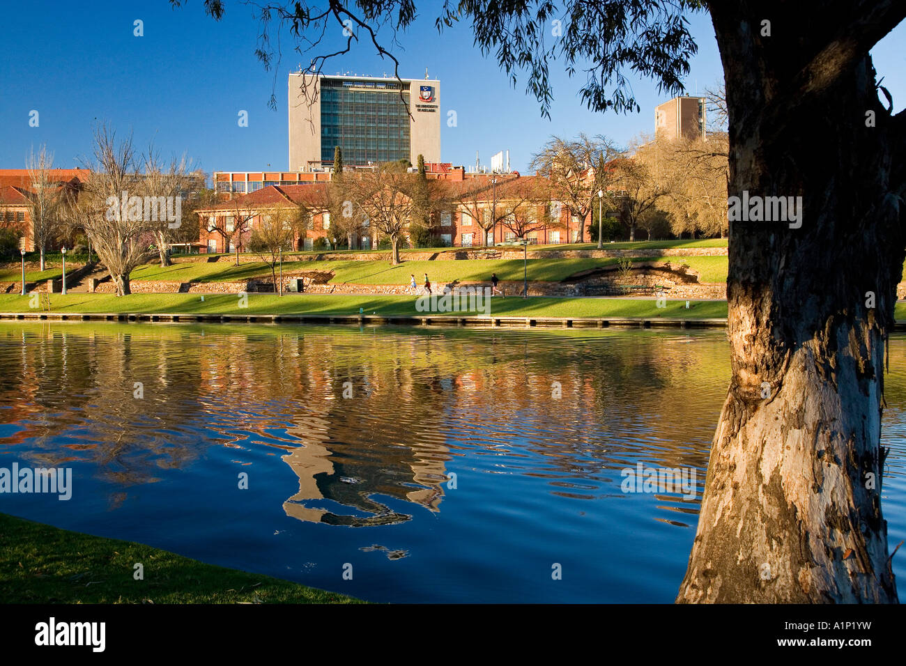 The University of Adelaide Torrens Lake Adelaide South Australia ...