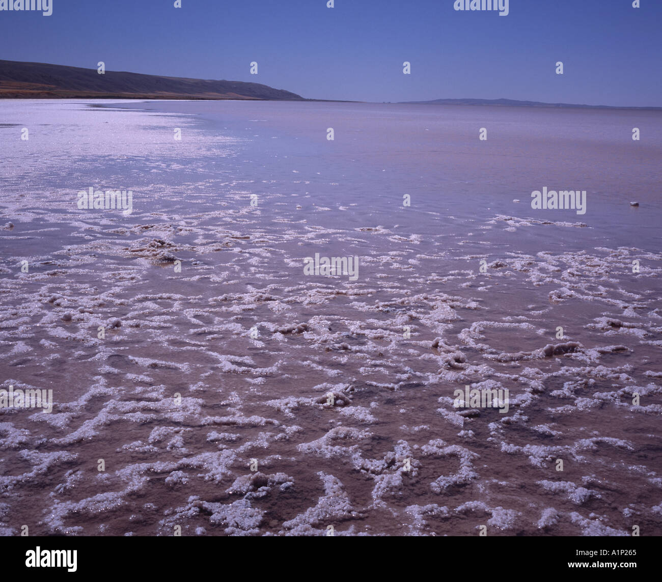 Saline lake tuz golu hi-res stock photography and images - Alamy