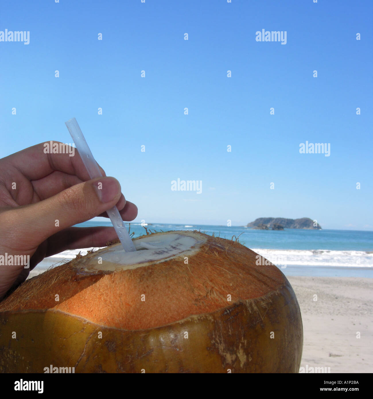 hand holding coconut on beach Stock Photo - Alamy