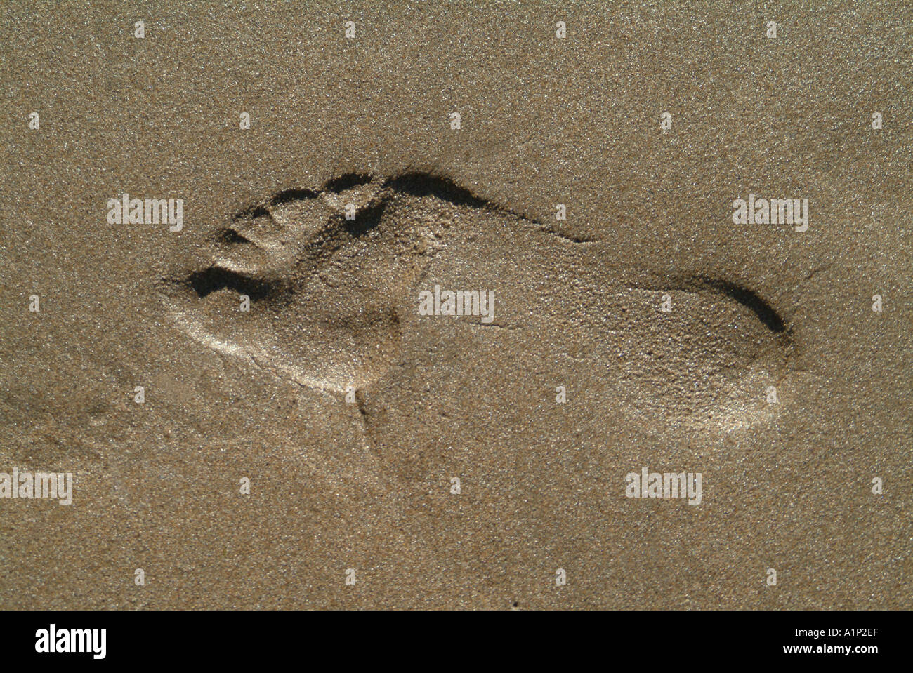 Coastal footprint hi-res stock photography and images - Alamy