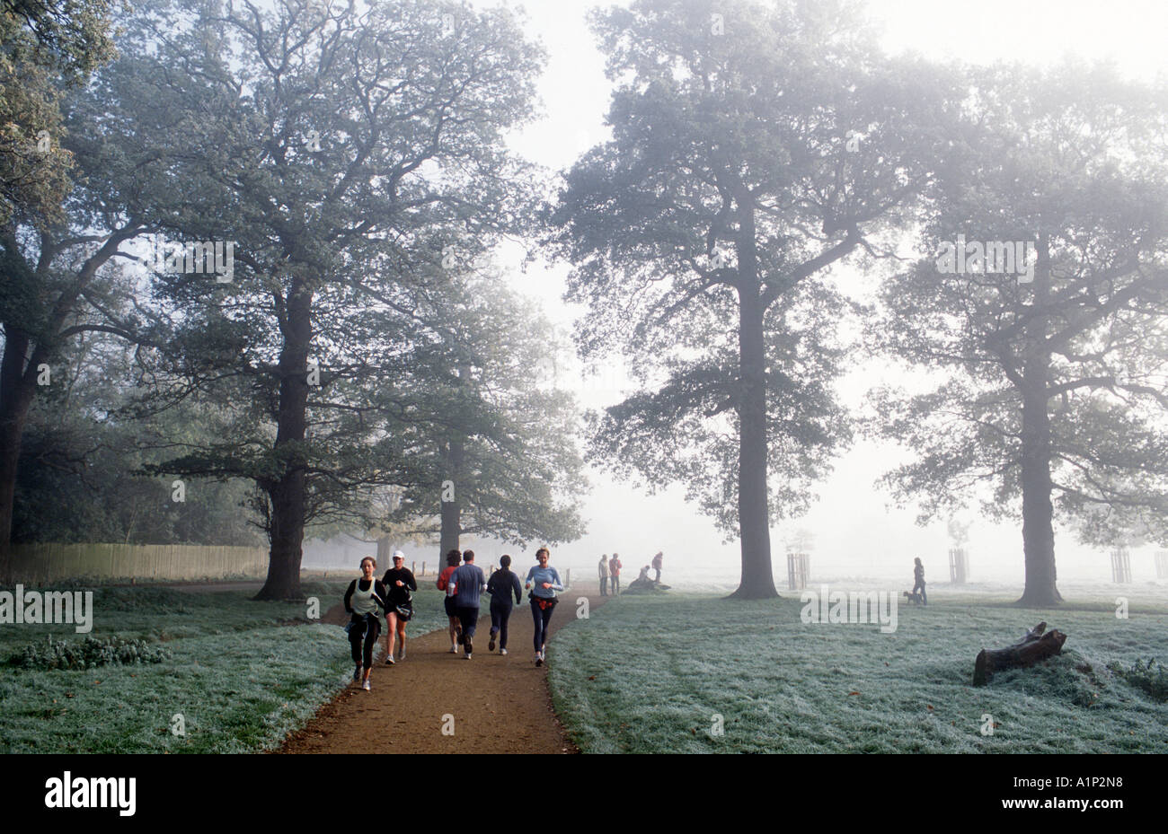 Winter in Richmond Park London Uk Stock Photo - Alamy