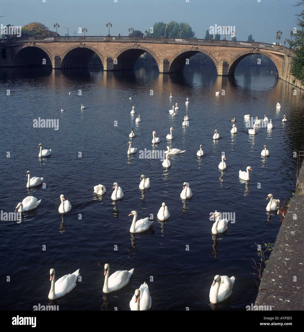 Meander on river severn hi-res stock photography and images - Alamy