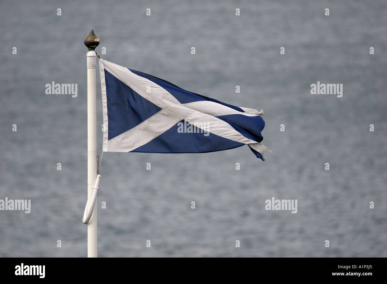 Scottish flag colour hi-res stock photography and images - Alamy