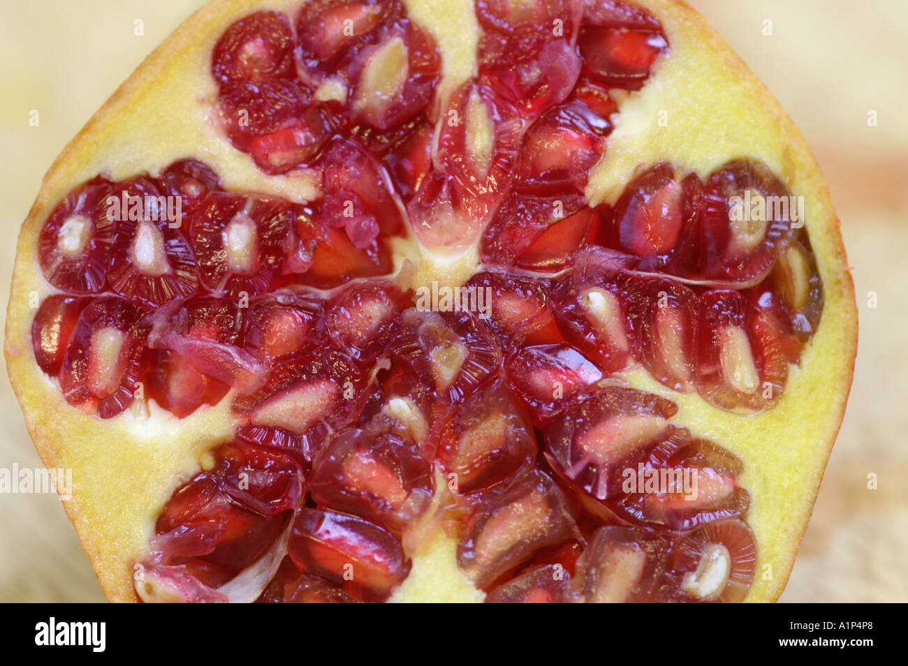Pomegranate cut in half showing seeds Stock Photo - Alamy