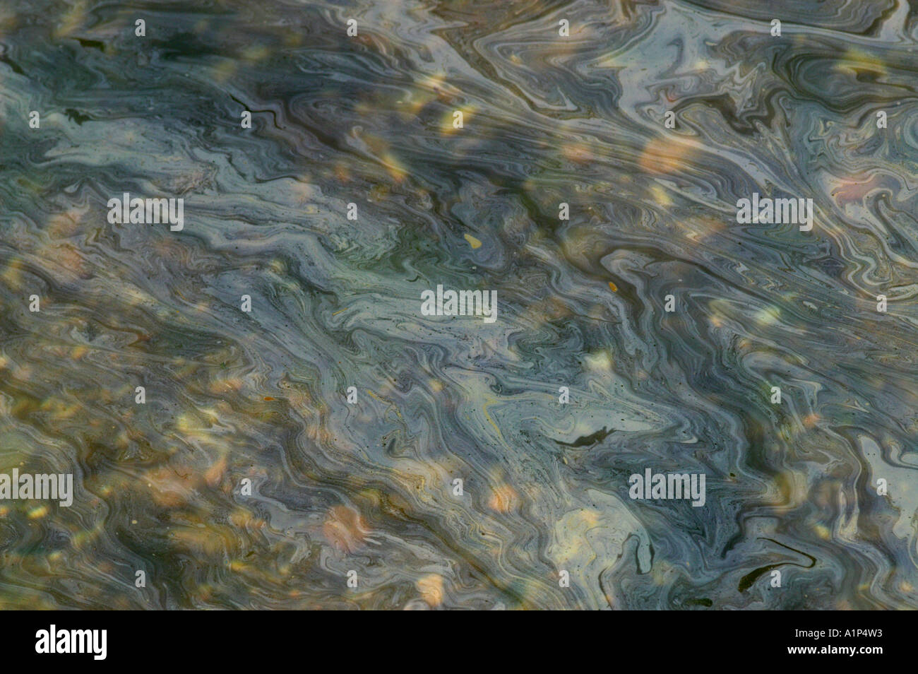 Diesel on surface water hi-res stock photography and images - Alamy