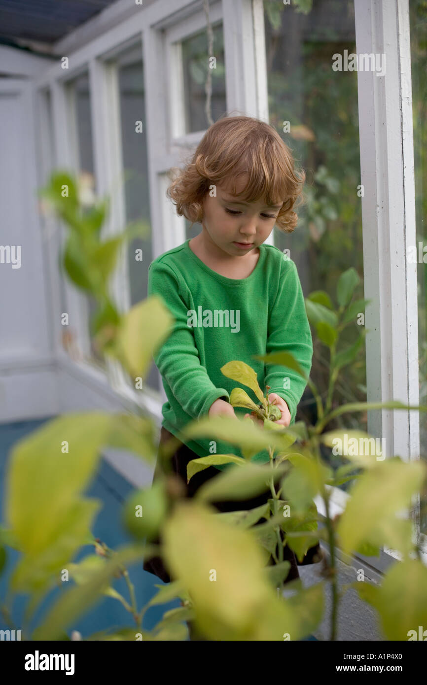 Young girl pulling plant in conservatory Stock Photo - Alamy