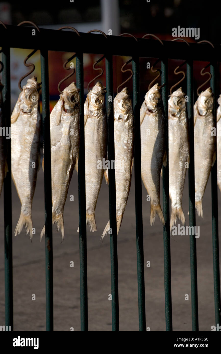 Drying Fish Display Macau Stock Photo - Alamy