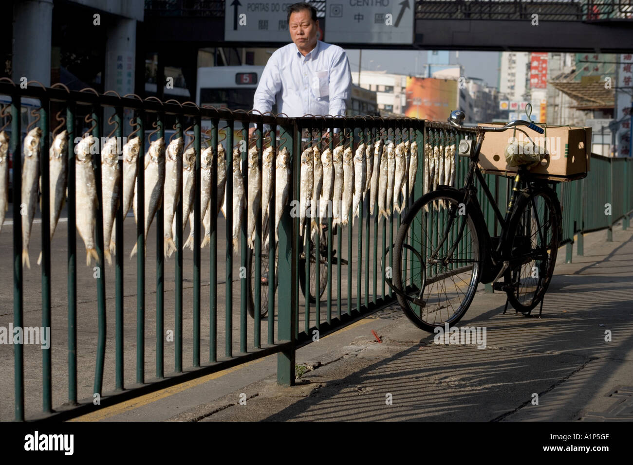 Drying Fish Display Macau Stock Photo - Alamy