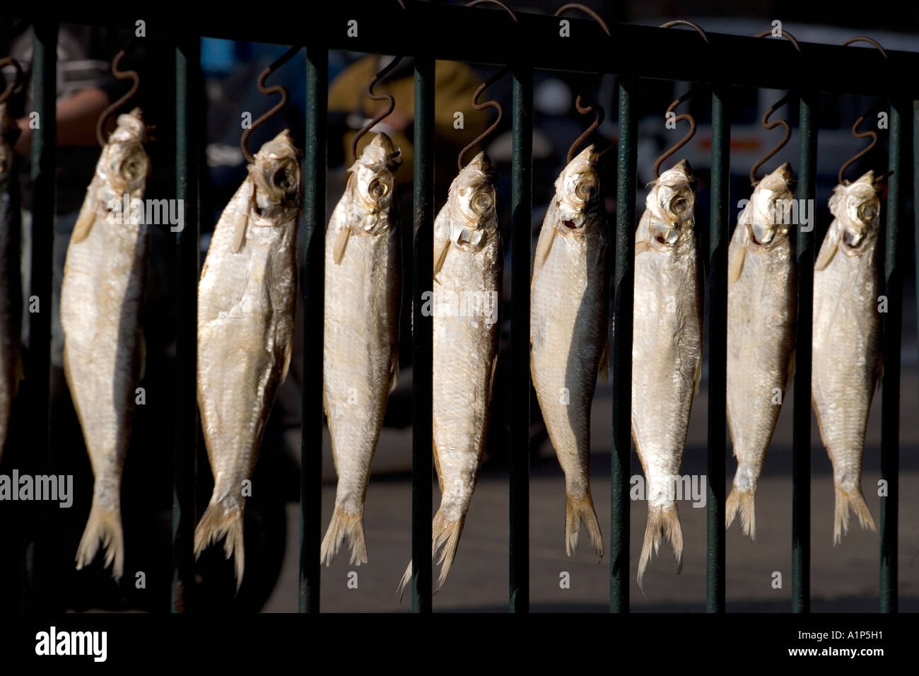 Drying Fish Display Macau Stock Photo - Alamy