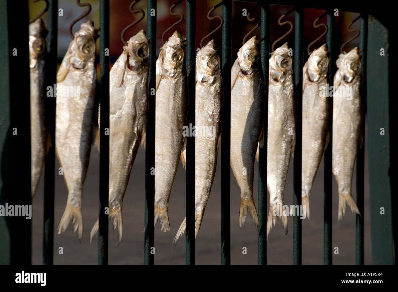 Dried Fish Display Macau Stock Photo - Alamy