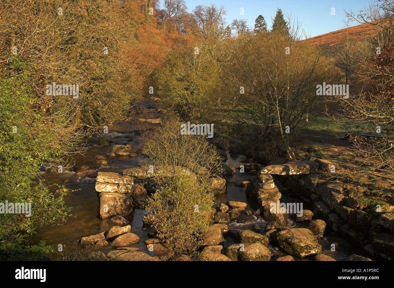 Badgers Holt Dartmoor National Park Devon England Stock Photo - Alamy