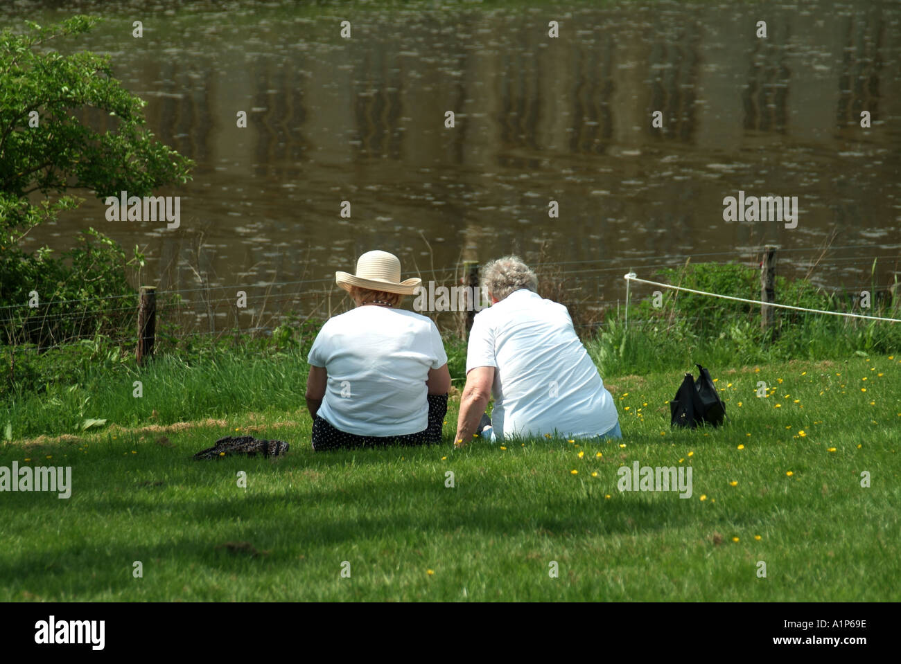 Marquess of bath hi-res stock photography and images - Alamy