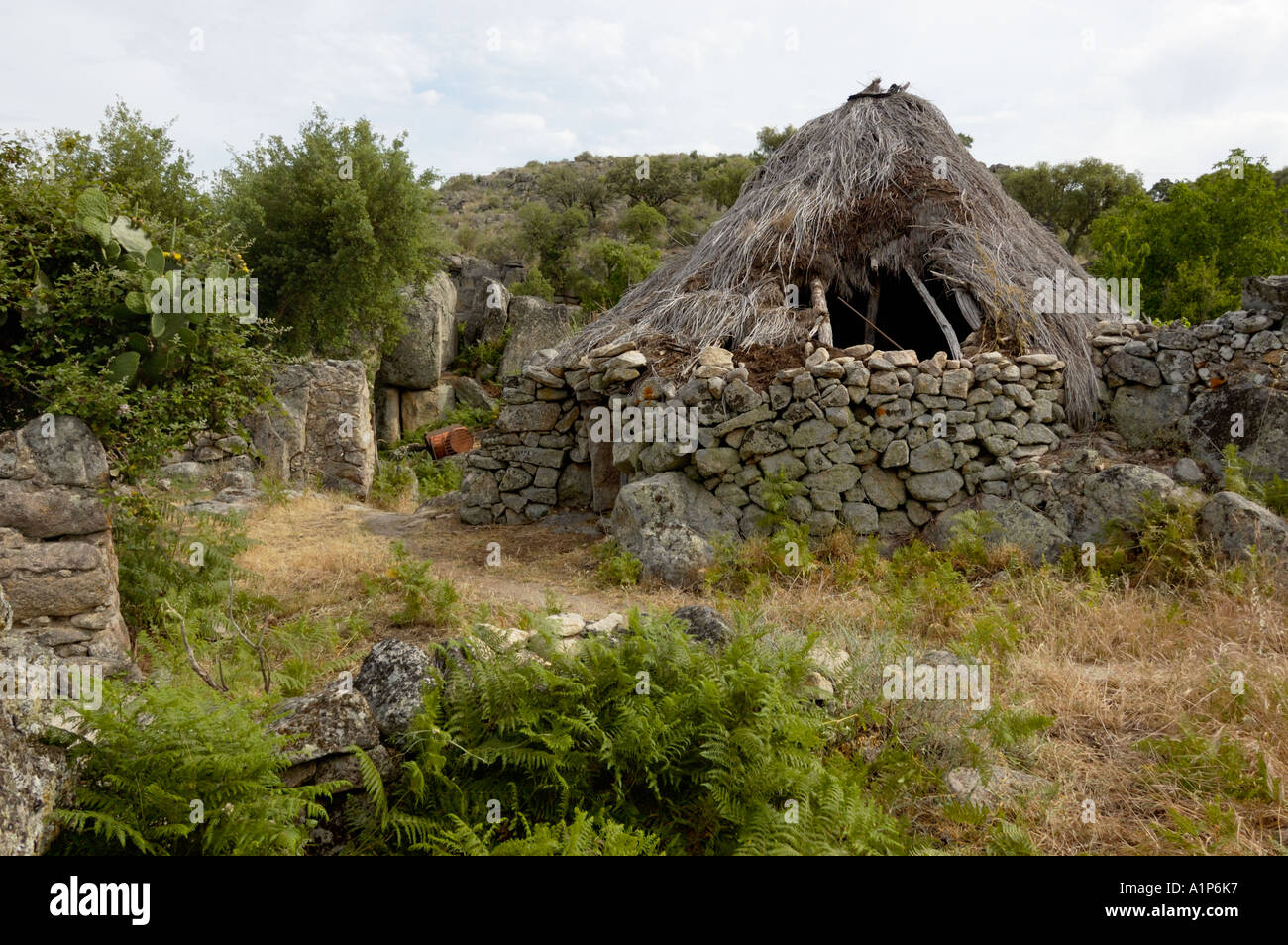 Parque Natural Da Serra De Sao Mamede High Resolution Stock Photography ...