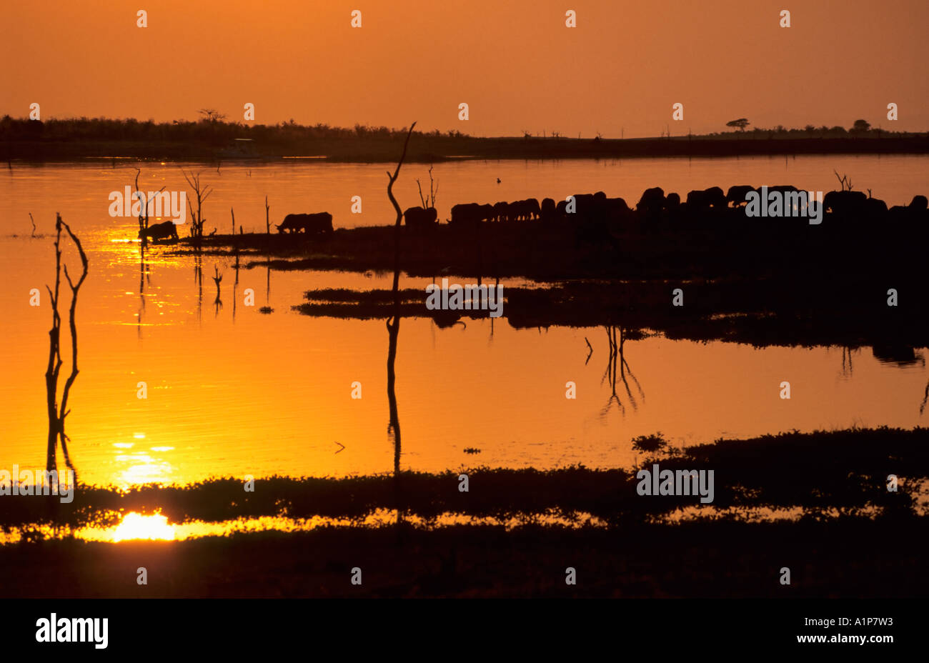 Zimbabwean sunset hi-res stock photography and images - Alamy