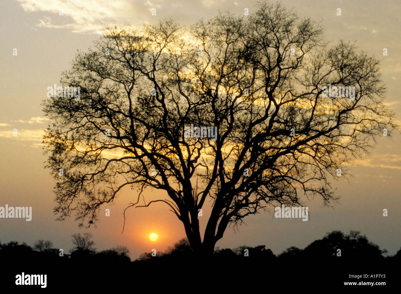 Zambian sunset hi-res stock photography and images - Alamy