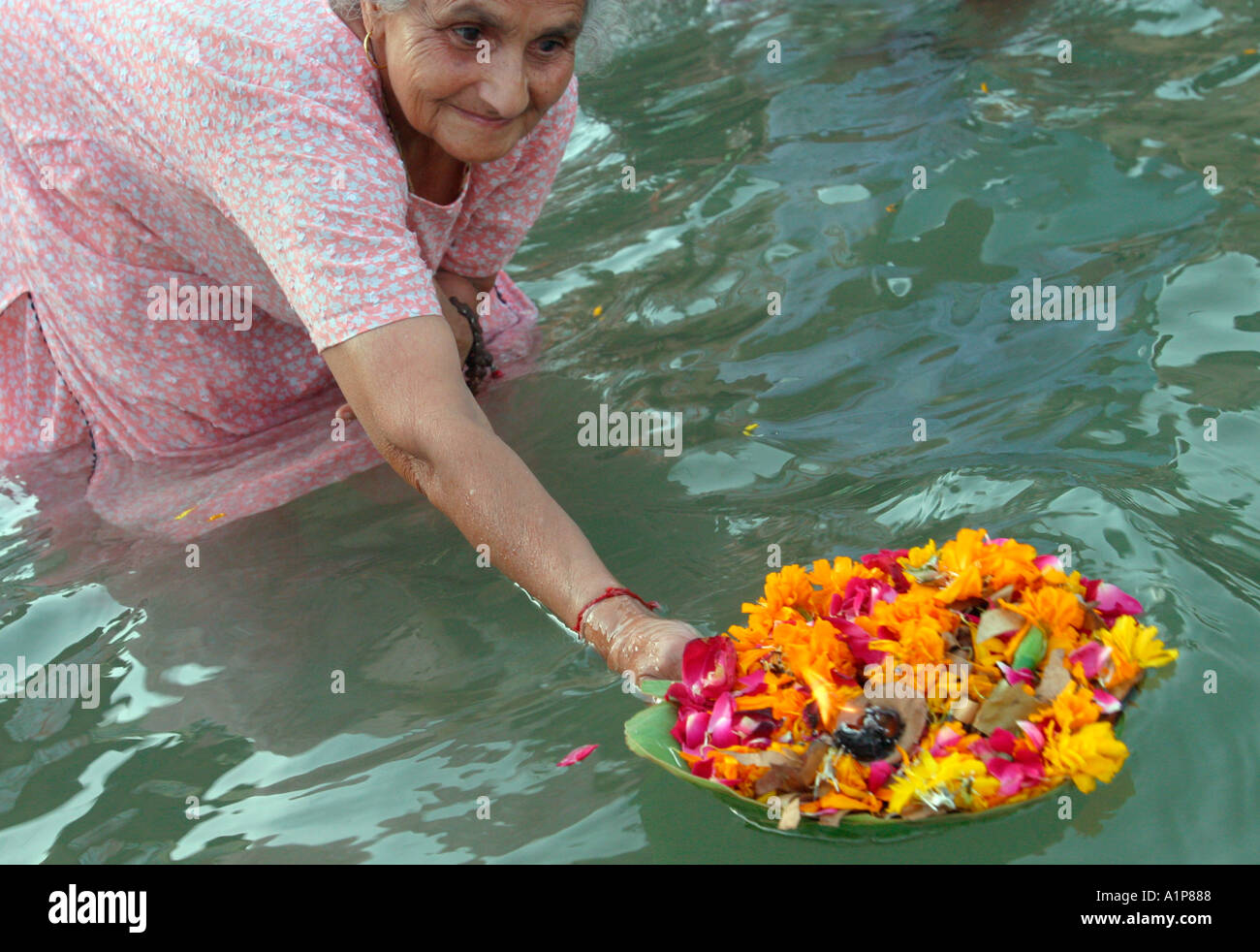 A Hindu pilgrim offers flowers to the holy river Ganges at the Ardh ...