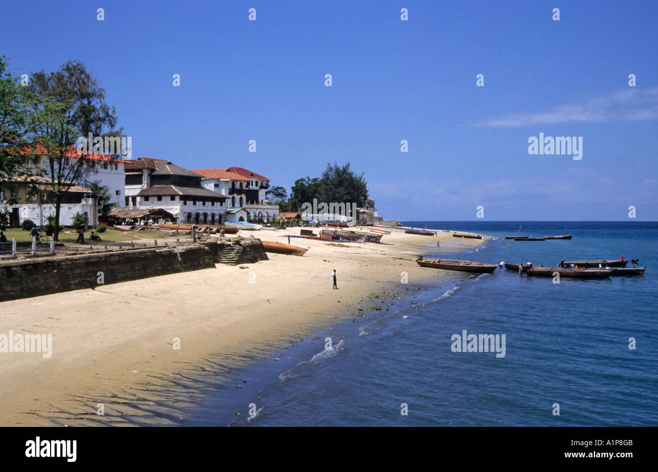 Beach at Stone Town, Zanzibar, Tanzania Stock Photo - Alamy