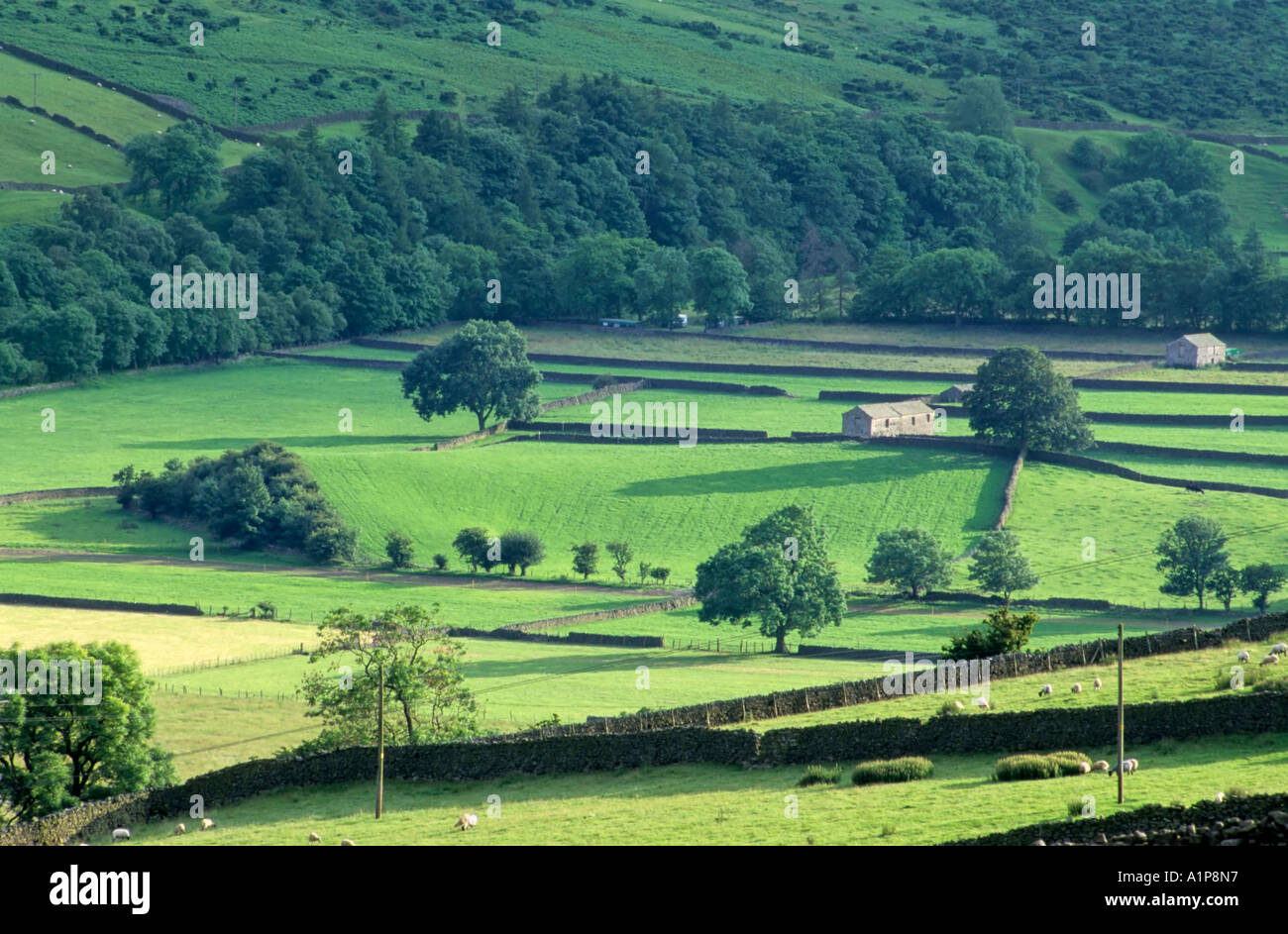 Parque nacional yorkshire dale hi-res stock photography and images - Alamy