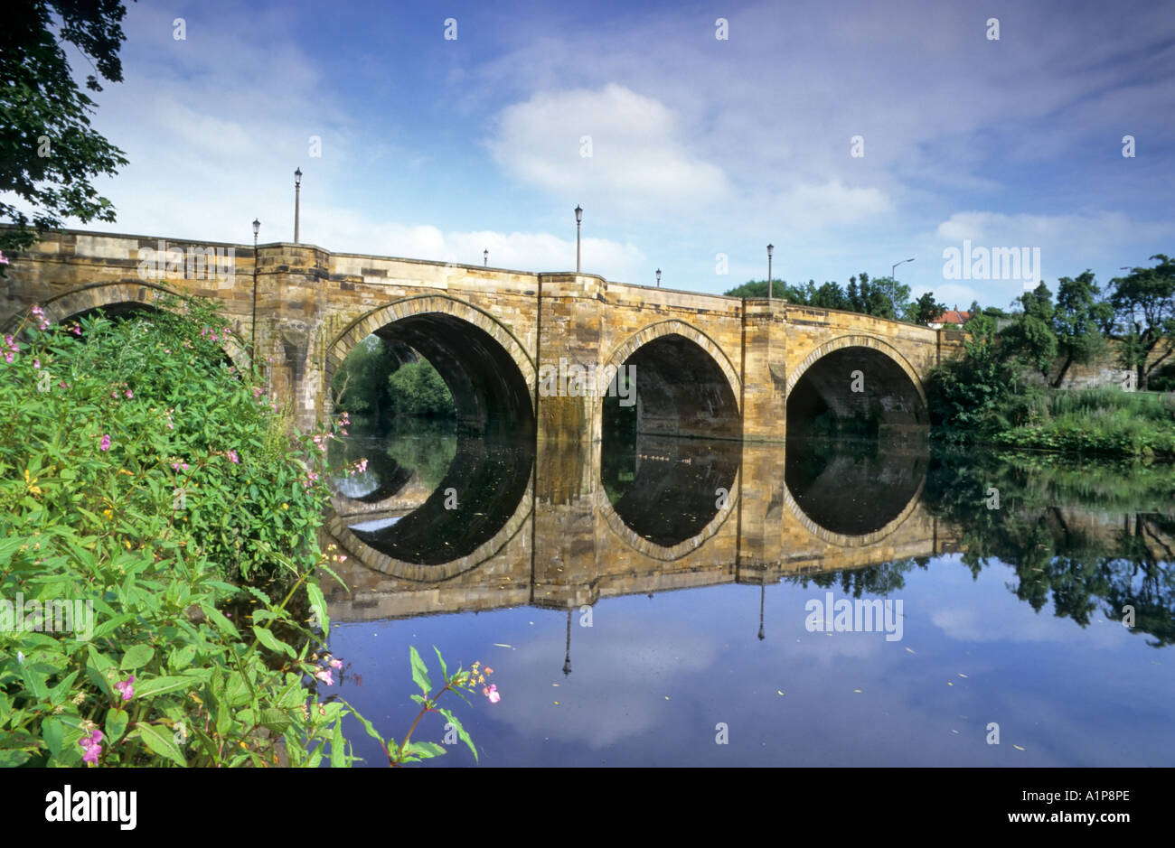 Yarm bridge River Tees Cleveland North Yorkshire England Stock Photo ...