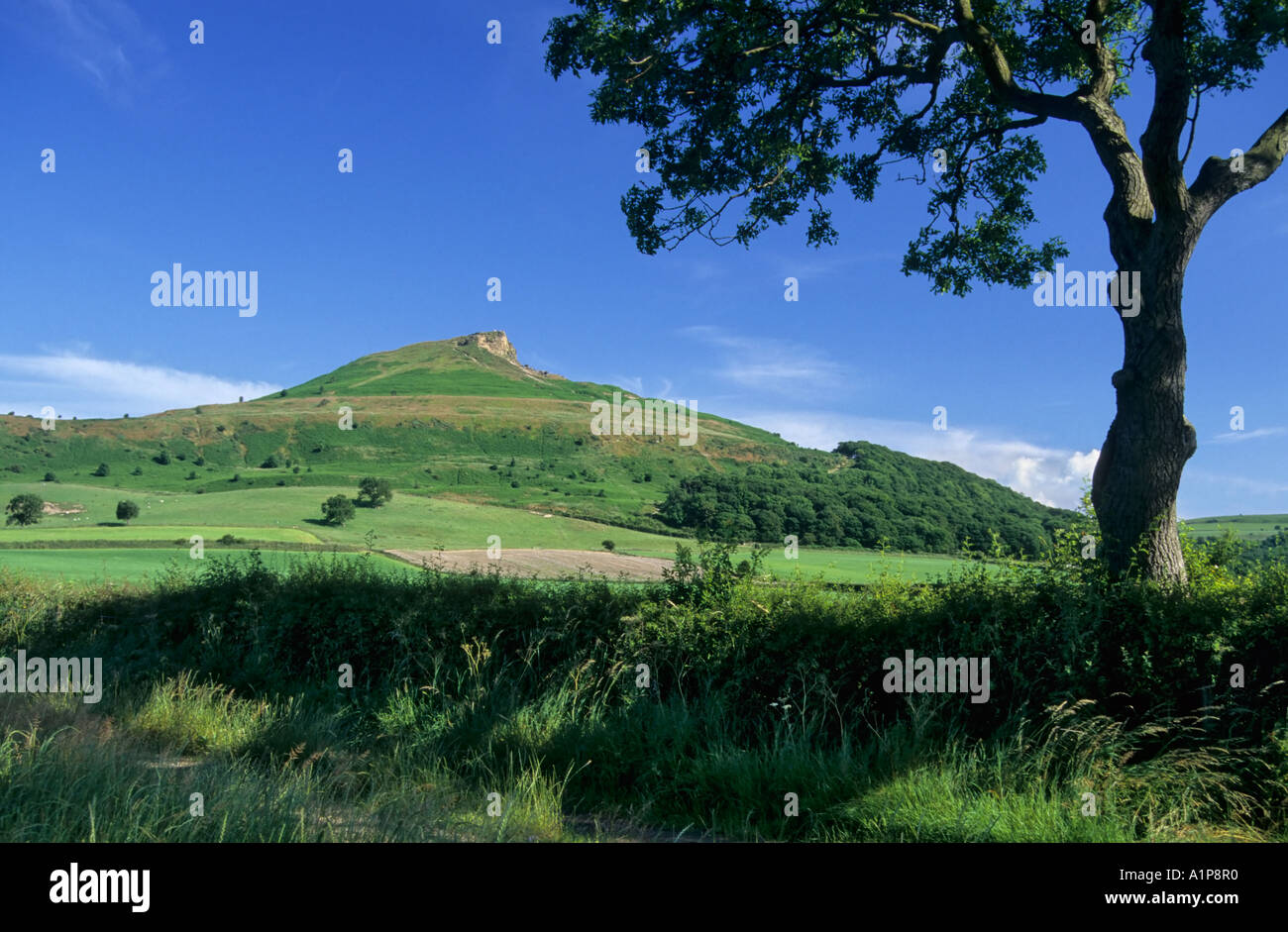 Roseberry Topping, North York Moors National Park, England Stock Photo ...
