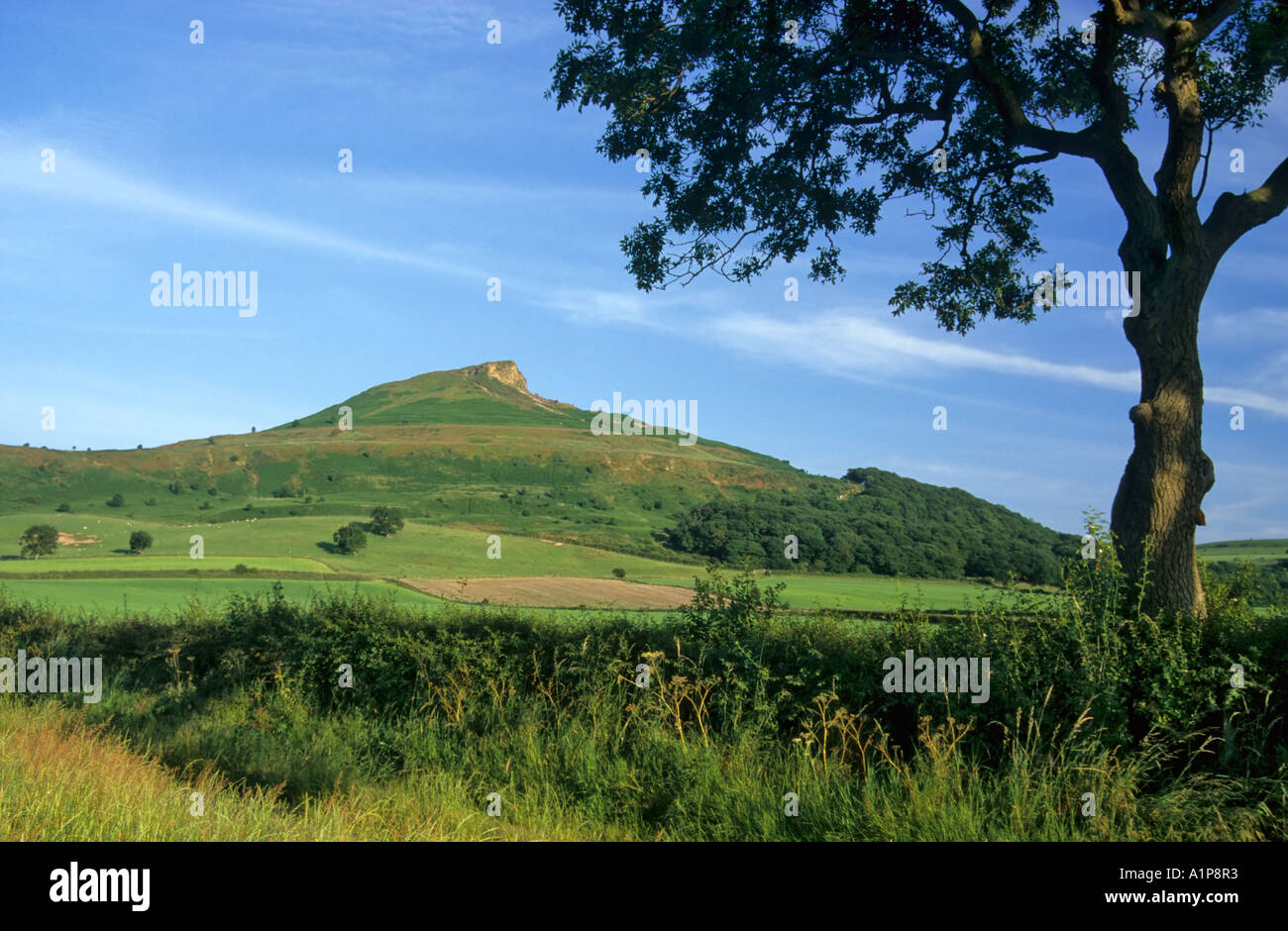 Parque nacional york moors hi-res stock photography and images - Alamy