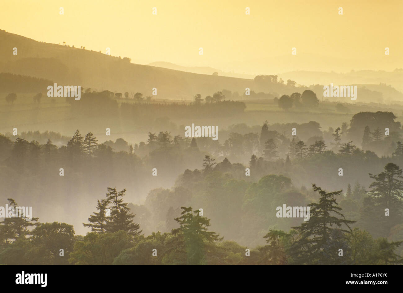 Corner borders hi-res stock photography and images - Alamy