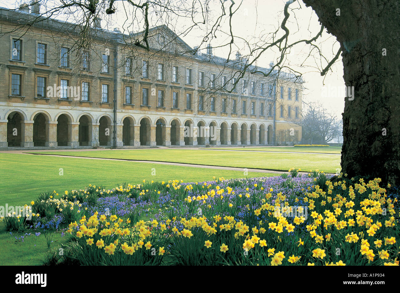 The New Buildings Magdalen College Oxford Stock Photo - Alamy
