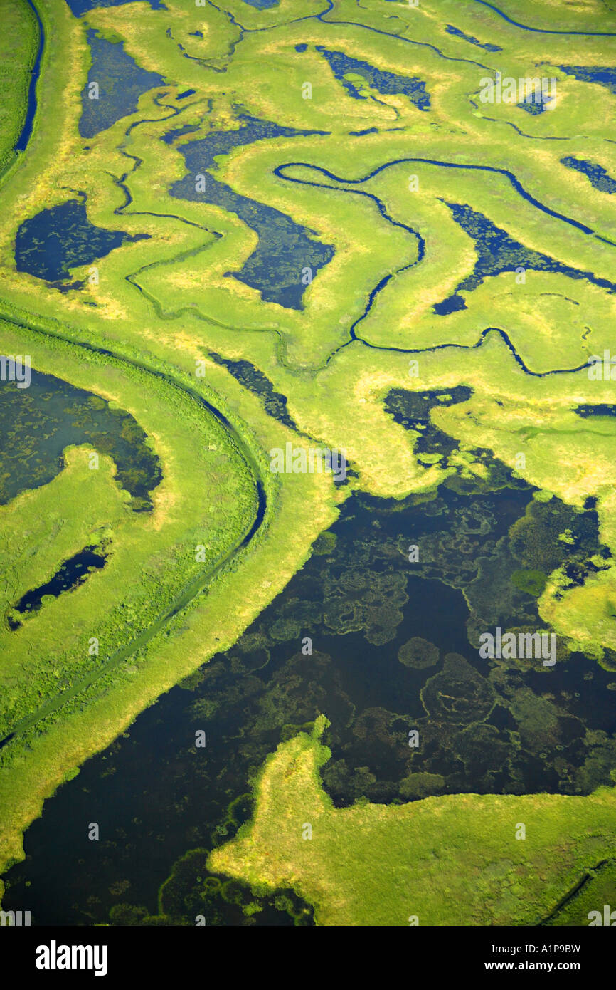 Aerial of the Copper River Delta Chugach National Forest Alaska Stock ...
