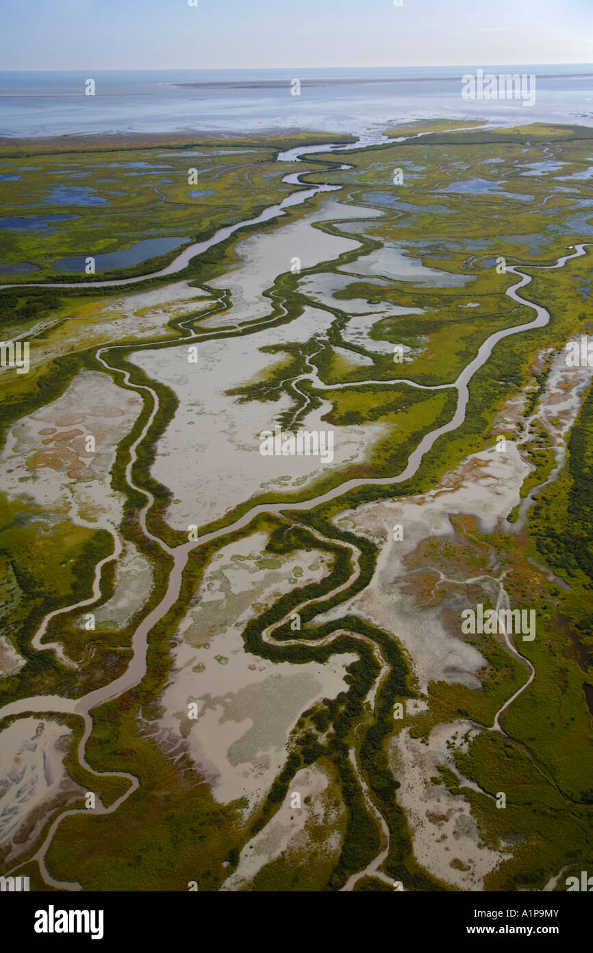 Aerial of the Copper River Delta Chugach National Forest Alaska Stock ...