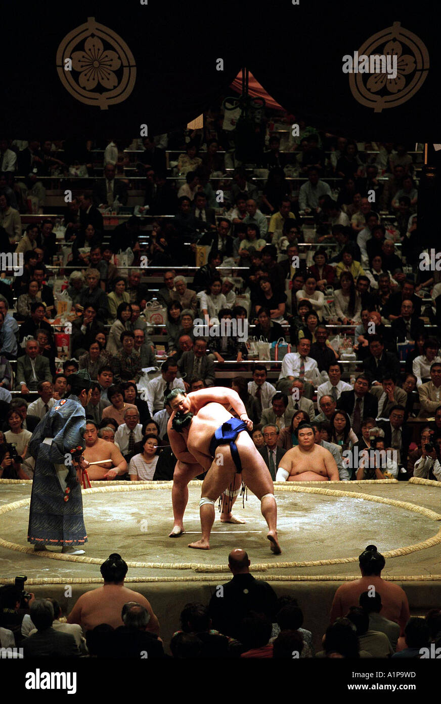 Sumo wrestling in the ring of the Tokyo Basho Stock Photo - Alamy