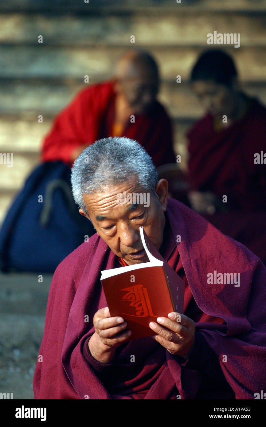 Tibetan monks reading book hi-res stock photography and images - Alamy