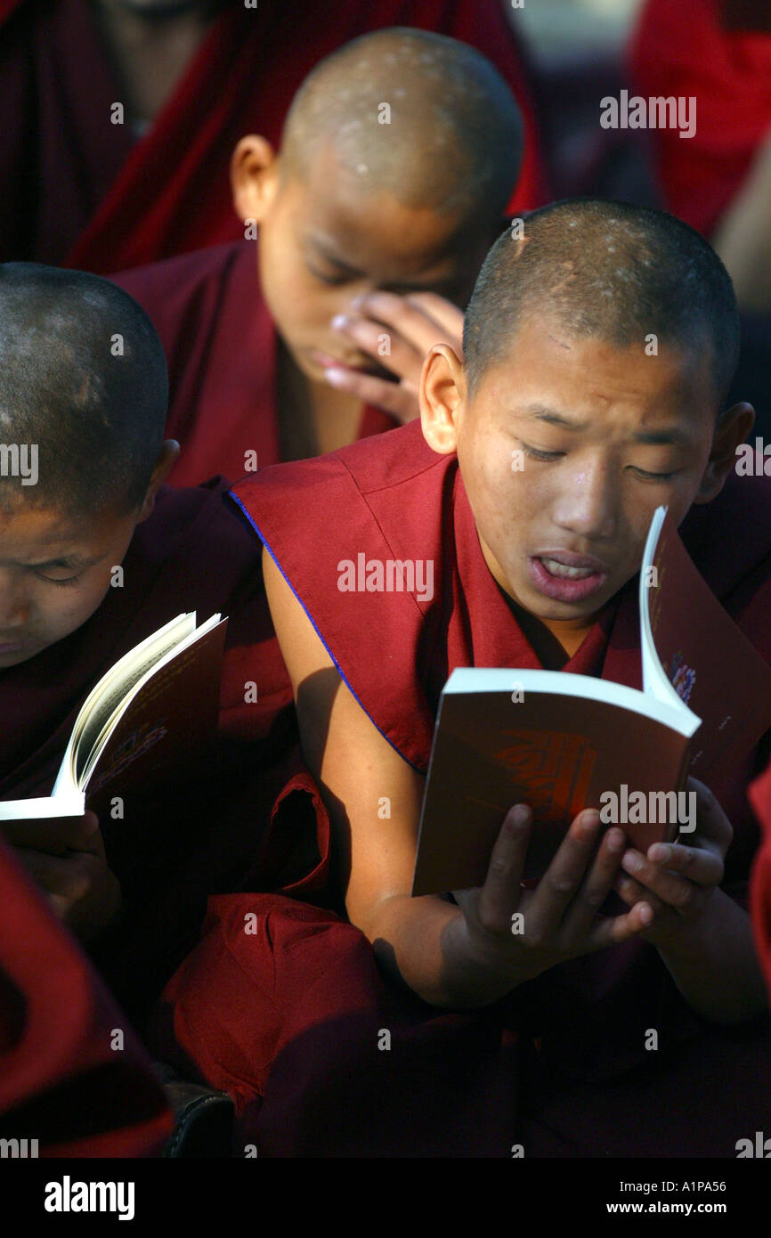 Monks reading book hi-res stock photography and images - Alamy