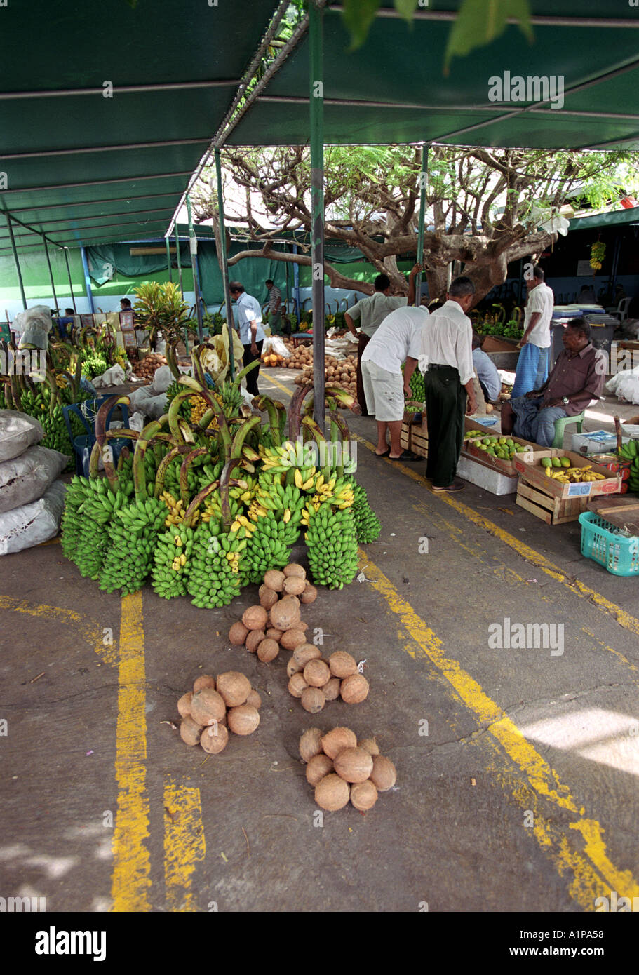 Fruit and vegetable market in Male The Maldives Stock Photo - Alamy